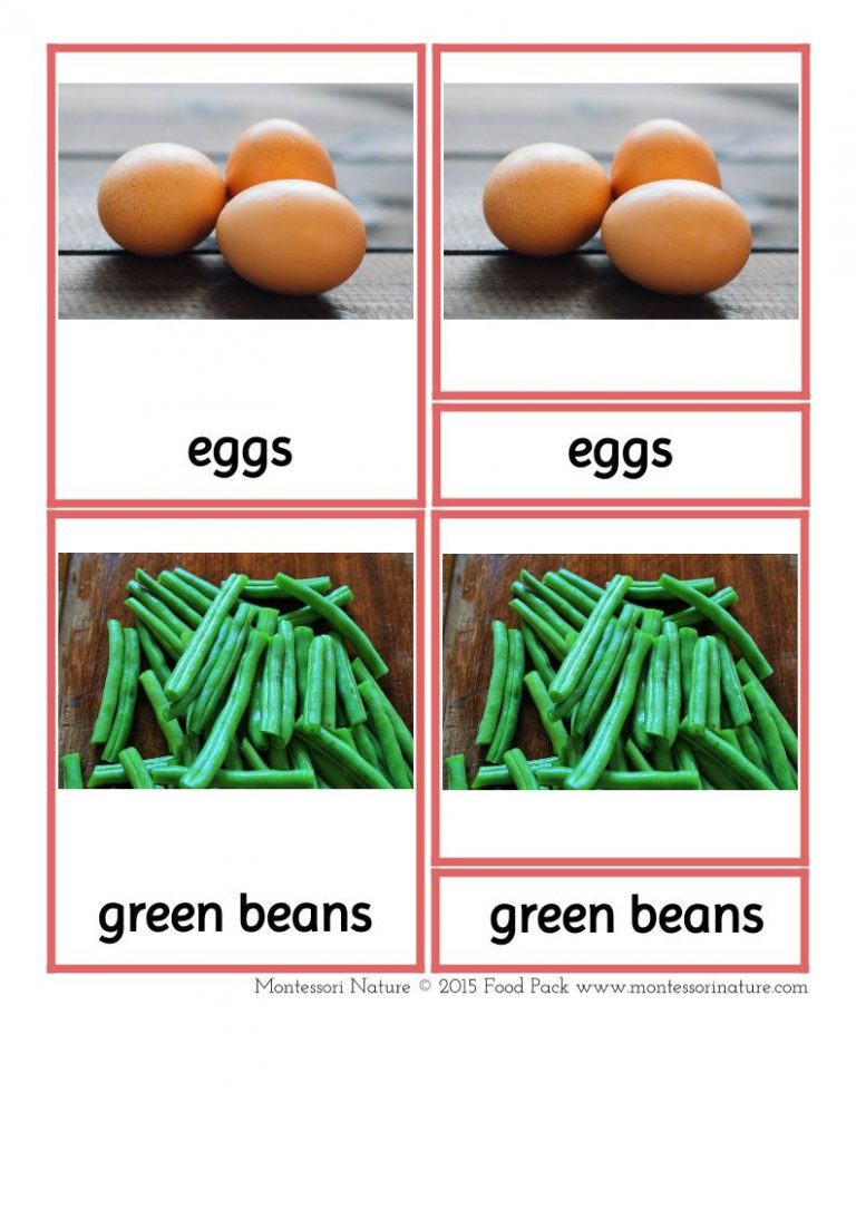 Food and Nutrition Hands On Activity Pack - Montessori Nature