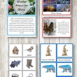 Winter Activities Vocabulary Polar Bear Five Senses Colors Counting ...