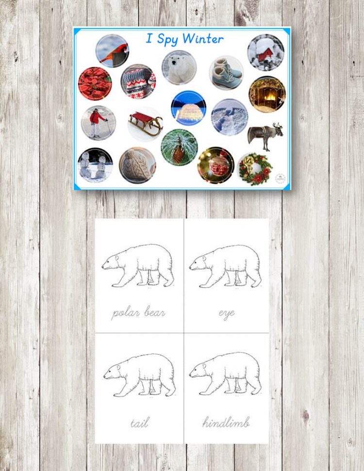 Winter Kindergarten Hands On Activity Pack - Montessori Nature