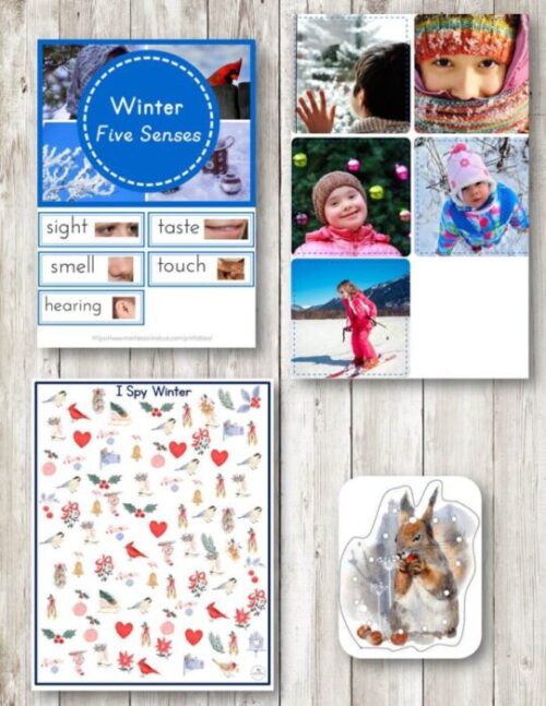 Winter Kindergarten Hands On Activity Pack - Montessori Nature