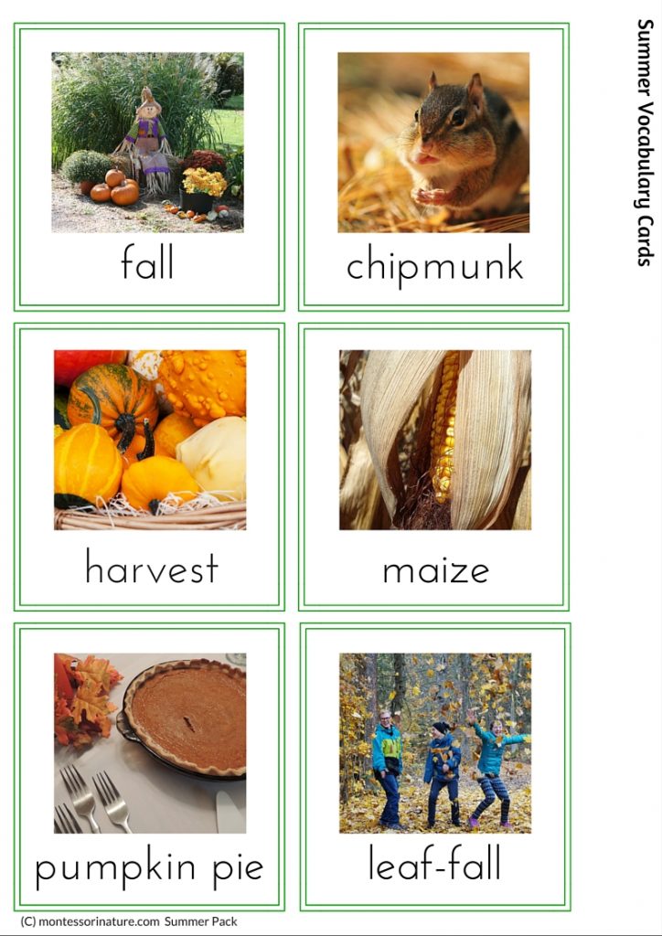 Fall Preschool Hands On Activity Pack - Montessori Nature