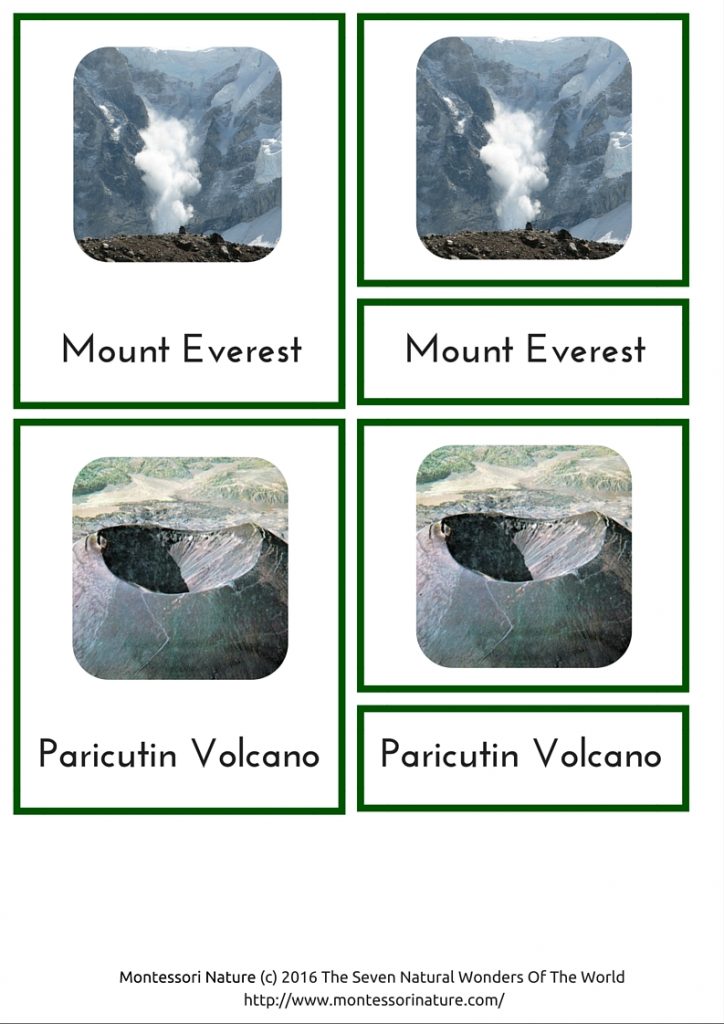 Nature Curriculum in Cards Ever Growing Bundle | Montessori Nature