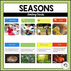 Patterns in Nature Sorting Cards - Montessori Nature Printables