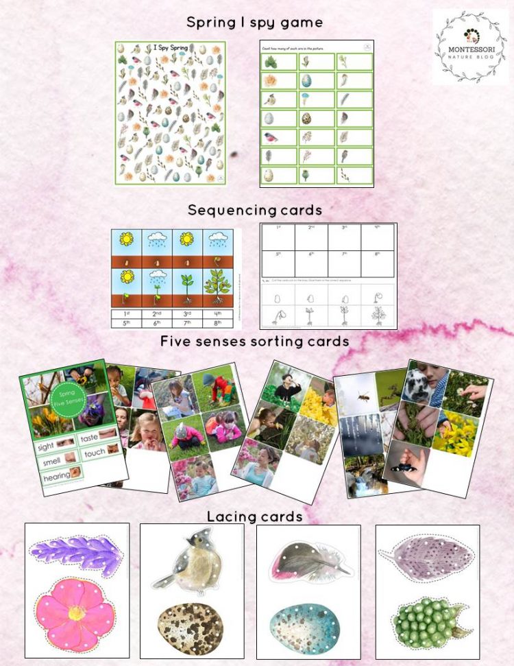 Spring Activities Kindergarten Pack - Montessori Nature