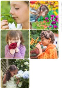 I Spy Spring Counting Activity Montessori Nature