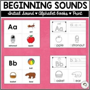 CVC Phonics Cards and Word Building Mats Pink Series