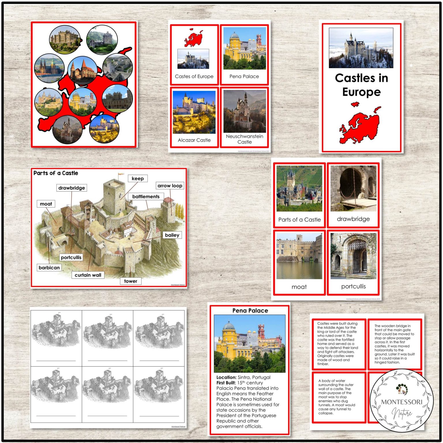 Guide to European Castles 3 Part Cards Poster Facts - Montessori Nature