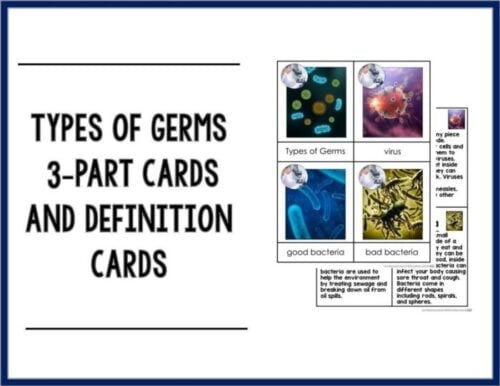 Germs and Hygiene Pack: Information Picture Packet 3 Part Cards Sort ...