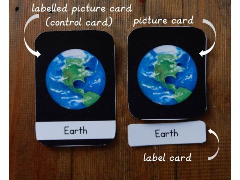 How to Use 3-Part Cards - Montessori Nature