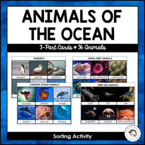 Category: Cosmic Curriculum - Montessori Nature