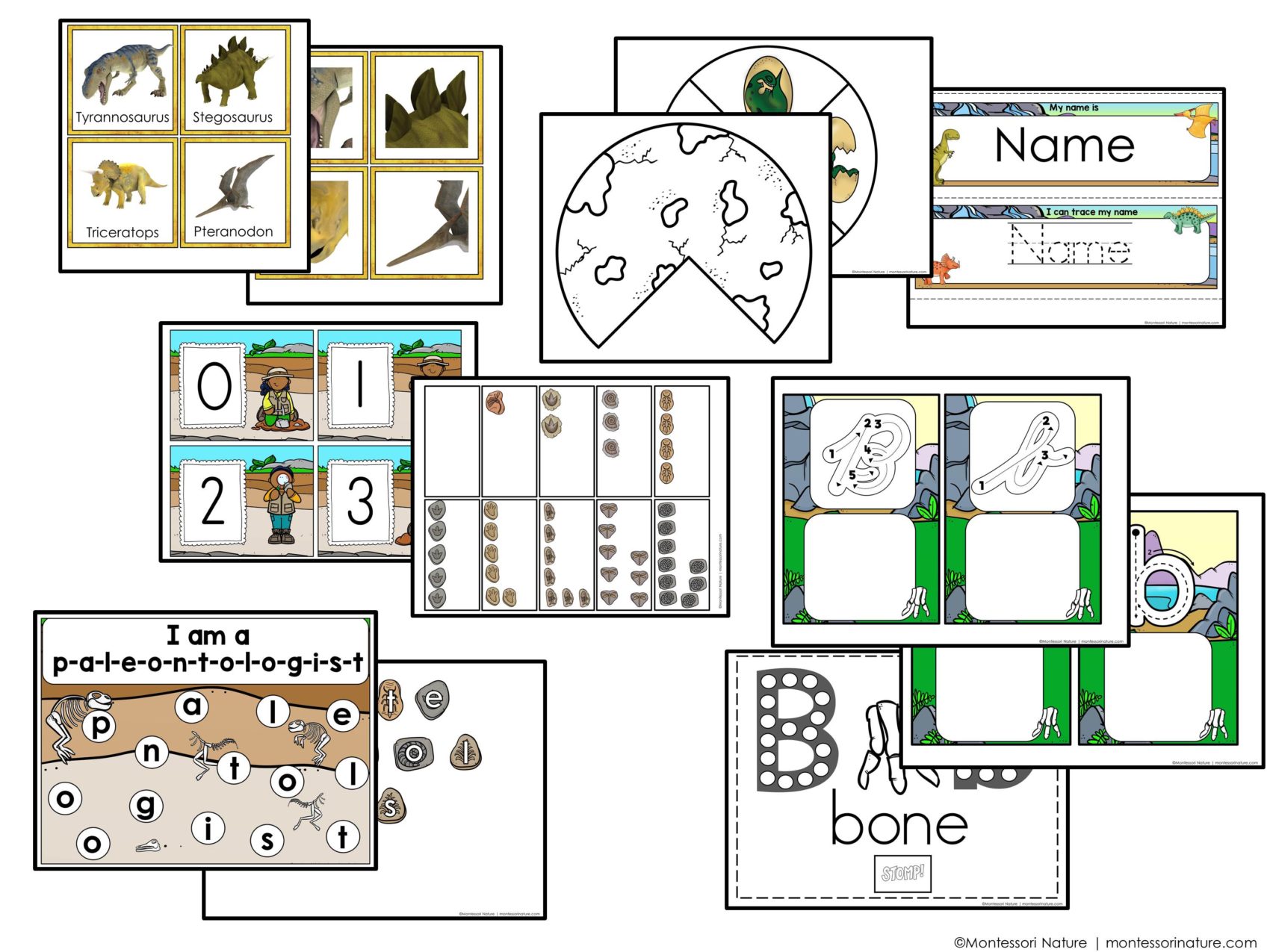 Dinosaur Pack I am a Paleontologist Preschool and Kindergarten Pack ...