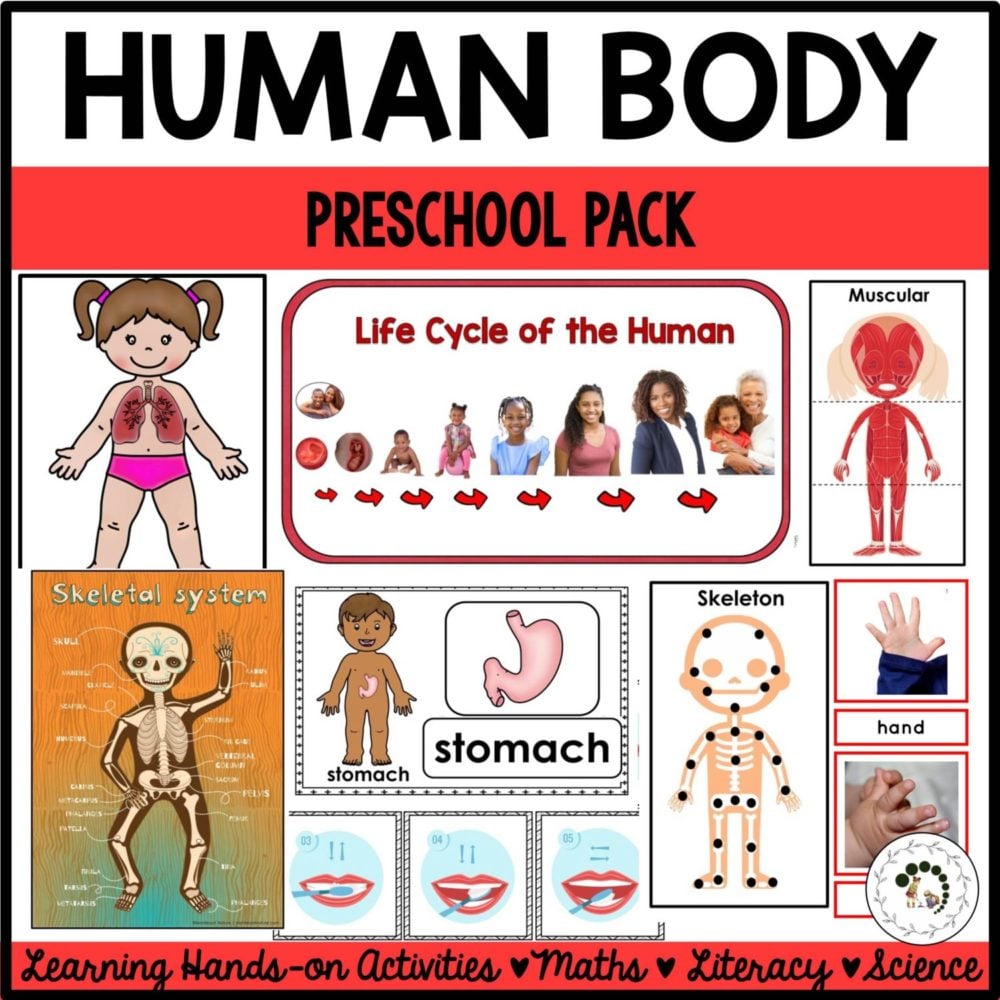 Human Body and Doctor’s Office Activities for Preschoolers and ...