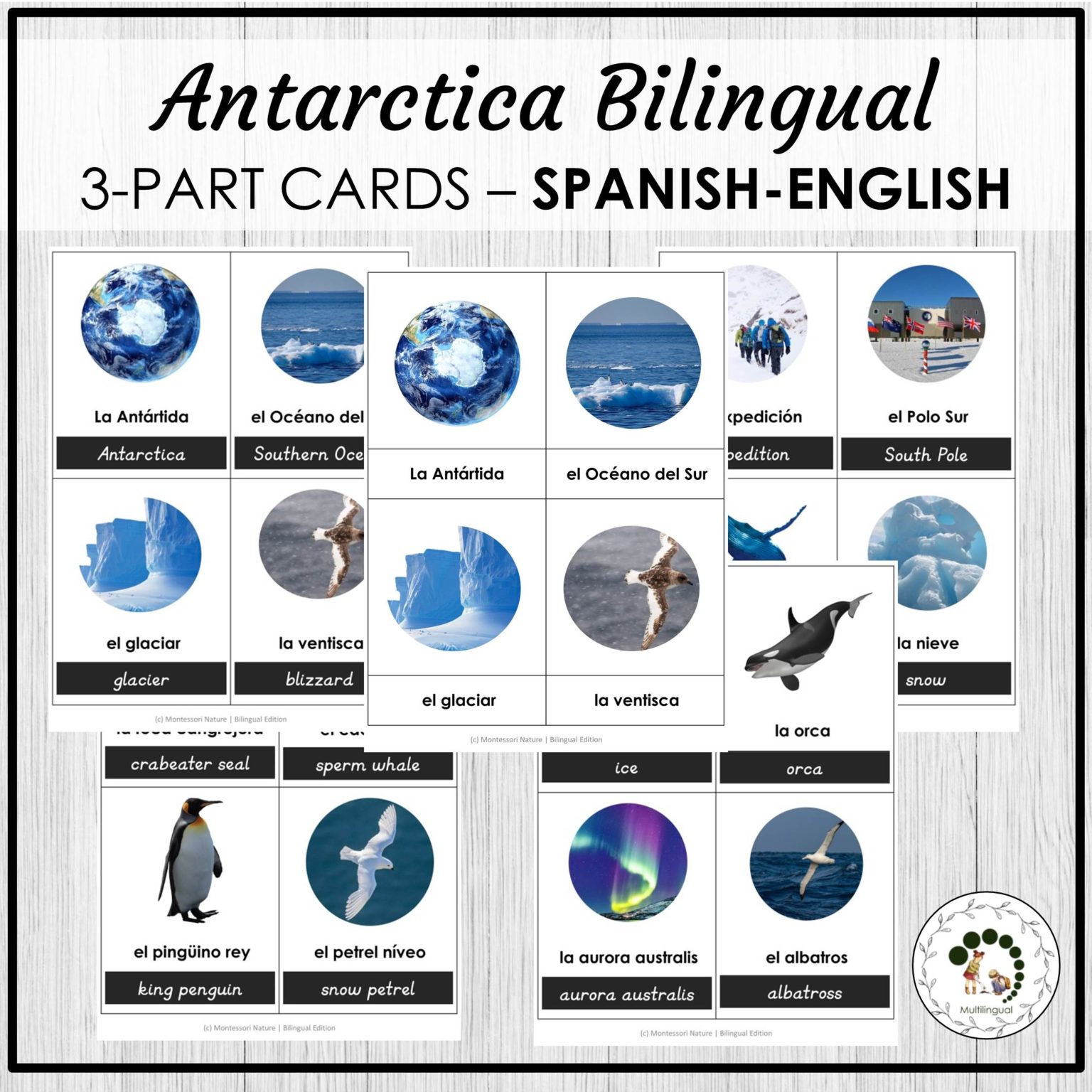 Free Printable - Arctic Animals - Montessori Nature