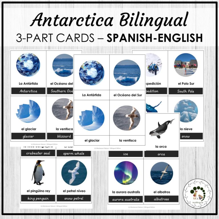 Free Printable - Arctic Animals - Montessori Nature