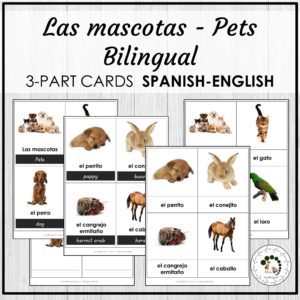Las Mascotas - Pets Vocabulary 3 Part Cards - Bilingual - Spanish
