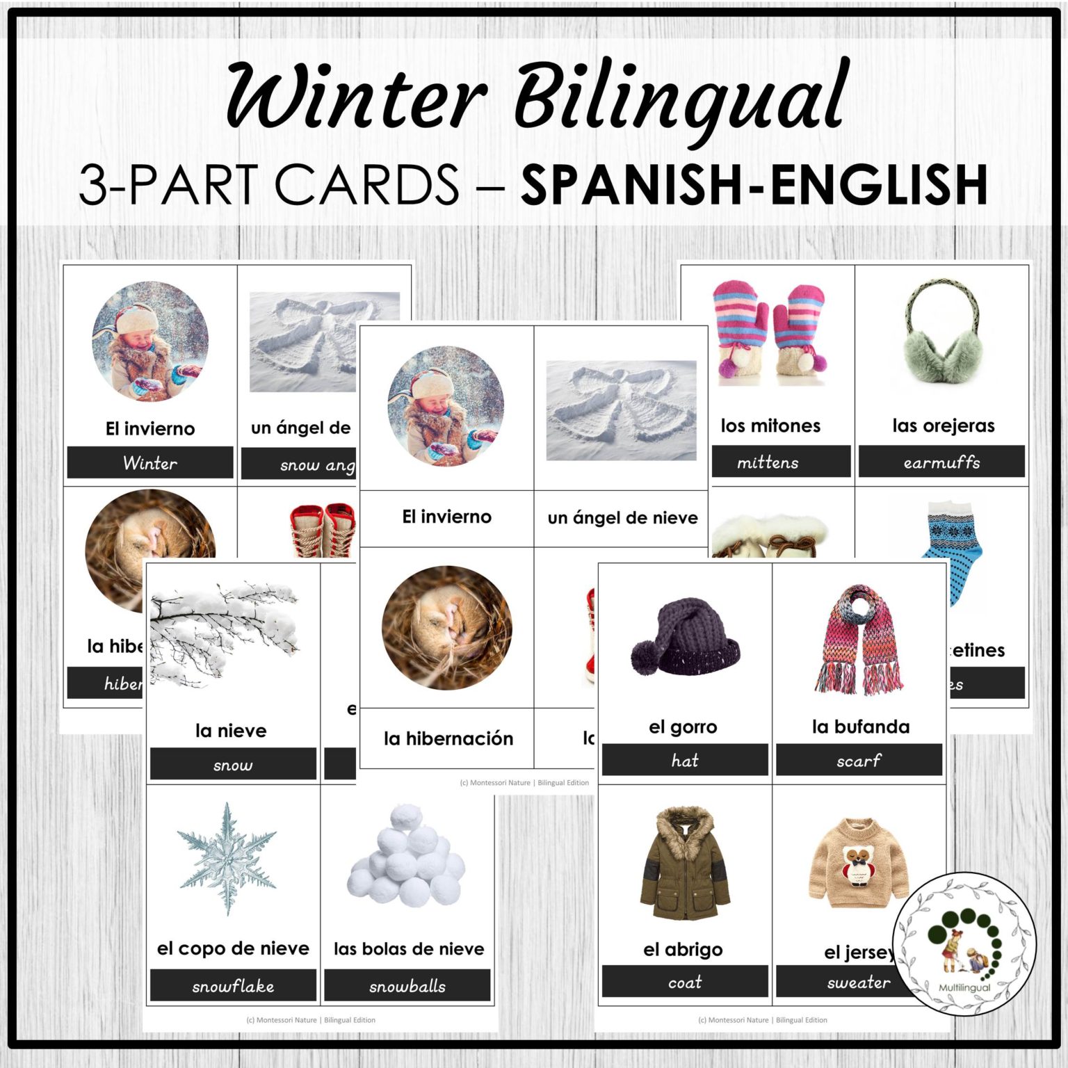 Silent and Noisy: 20 Picture Cards for Sorting