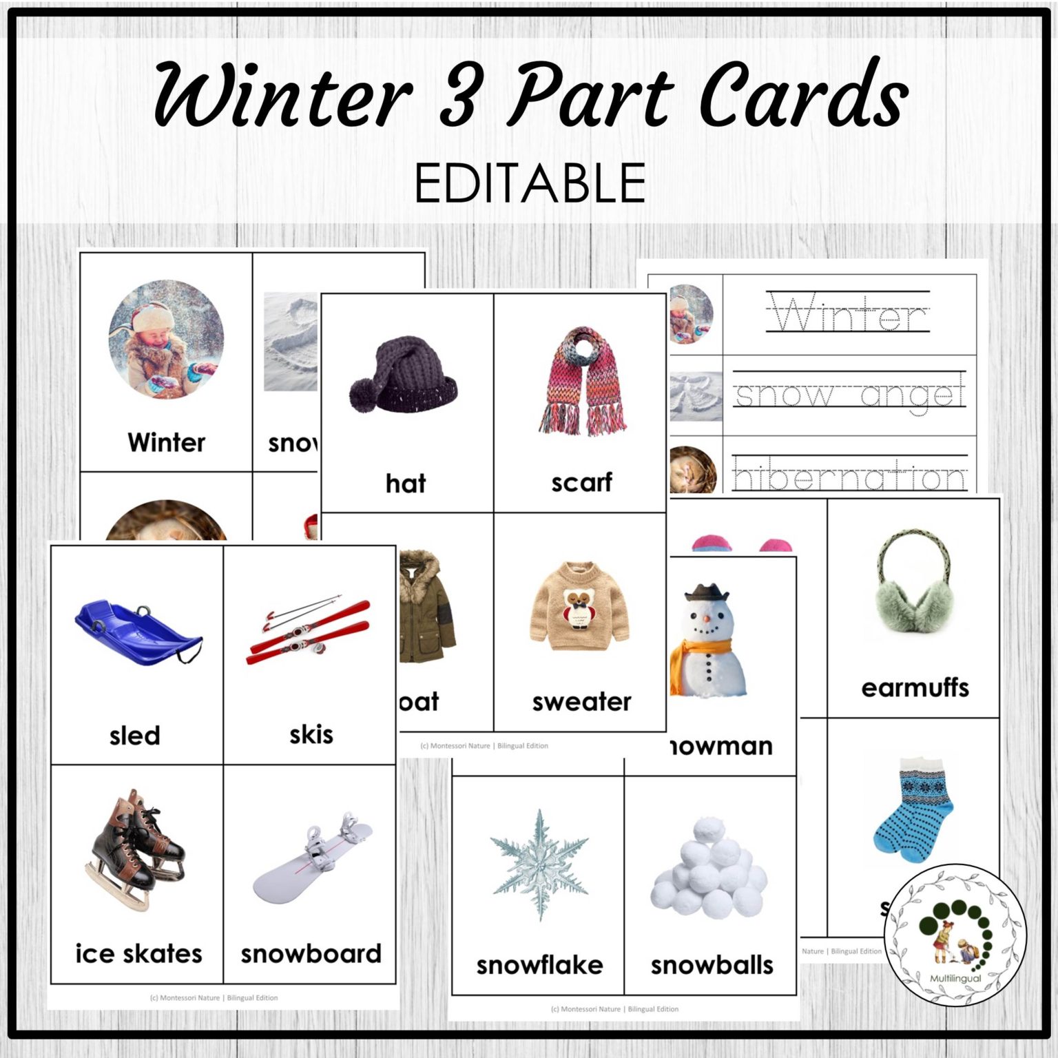 Winter Vocabulary 3 Part Cards - Montessori Nature