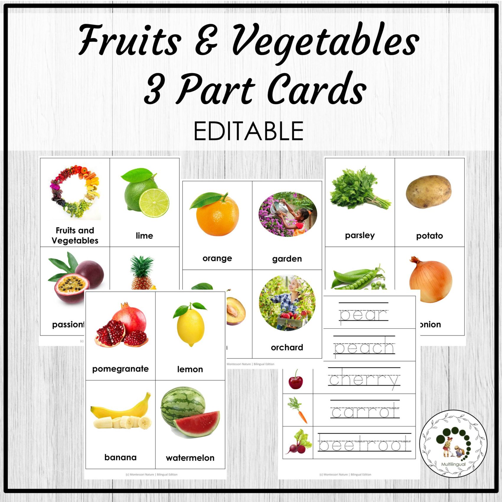 Fruits Vegetables Vocabulary 3 Part Cards - Montessori Nature