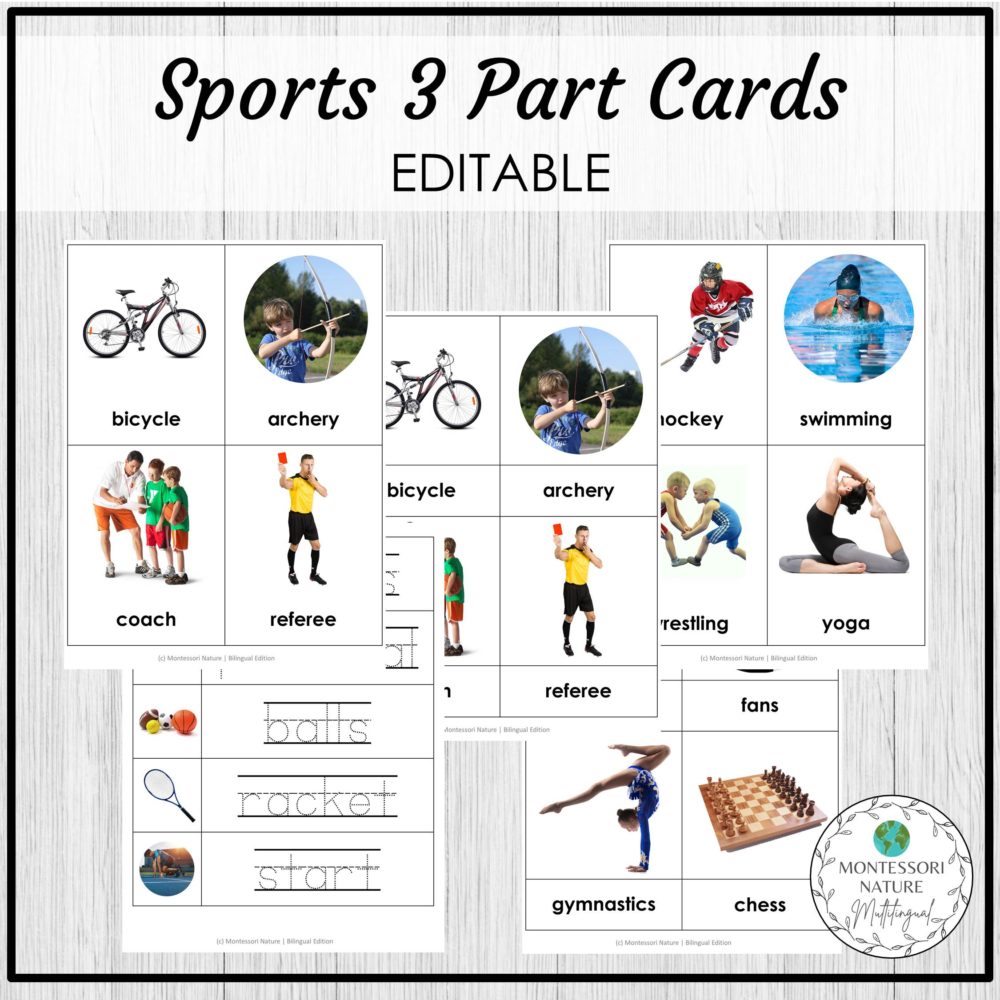 Sports Vocabulary 3 Part Cards