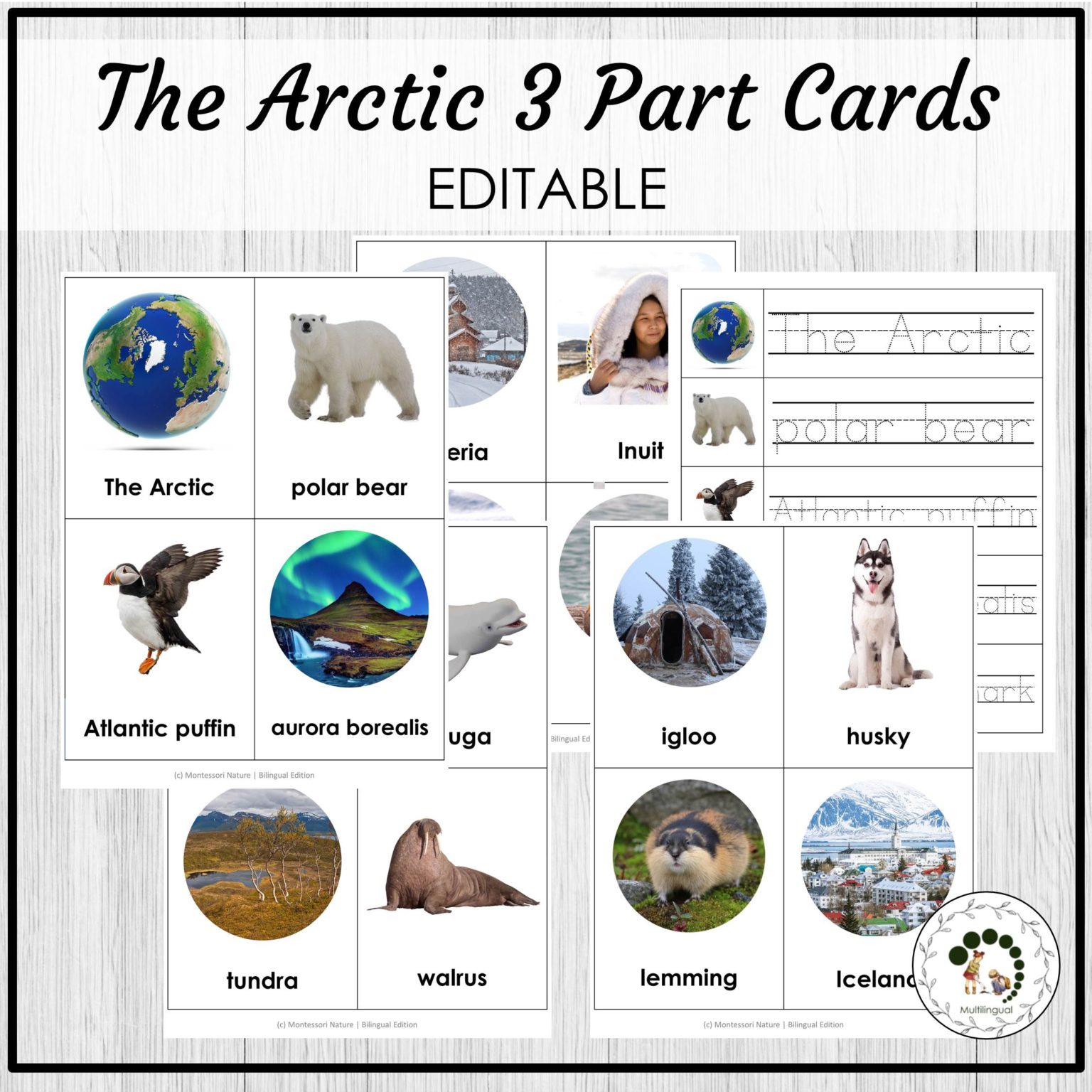 Antarctica Montessori Inspired Activities - Montessori Nature