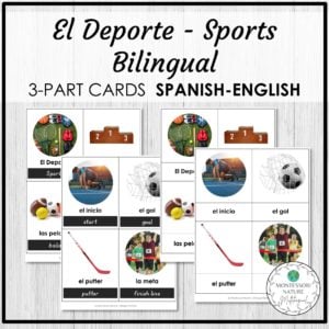 Vocabulary Cards - Montessori Nature Printables