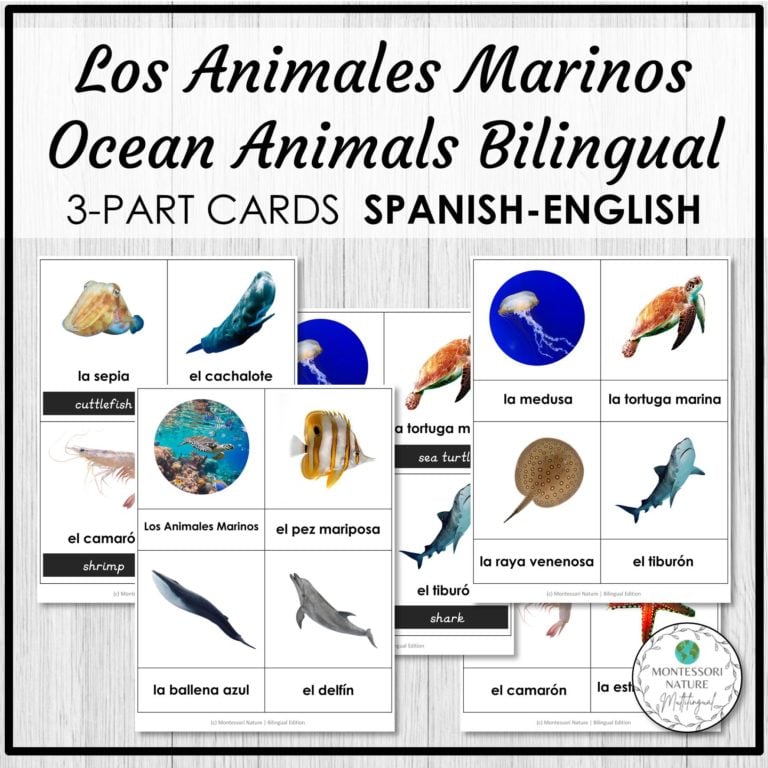 Parts of a Bottlenose Dolphin and Dolphin Life Cycle Activities ...