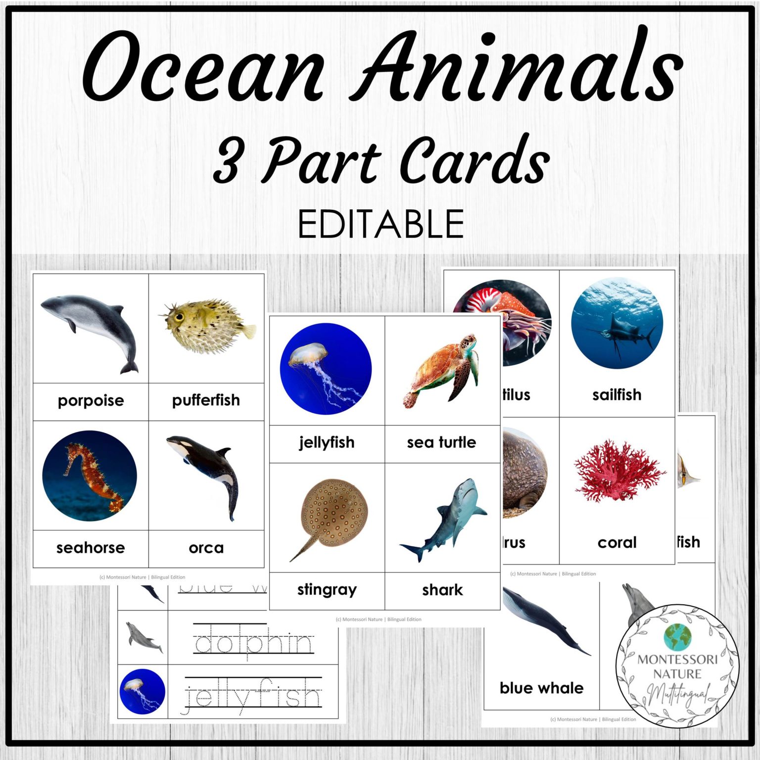 Ocean Animals Vocabulary 3 Part Cards - Montessori Nature