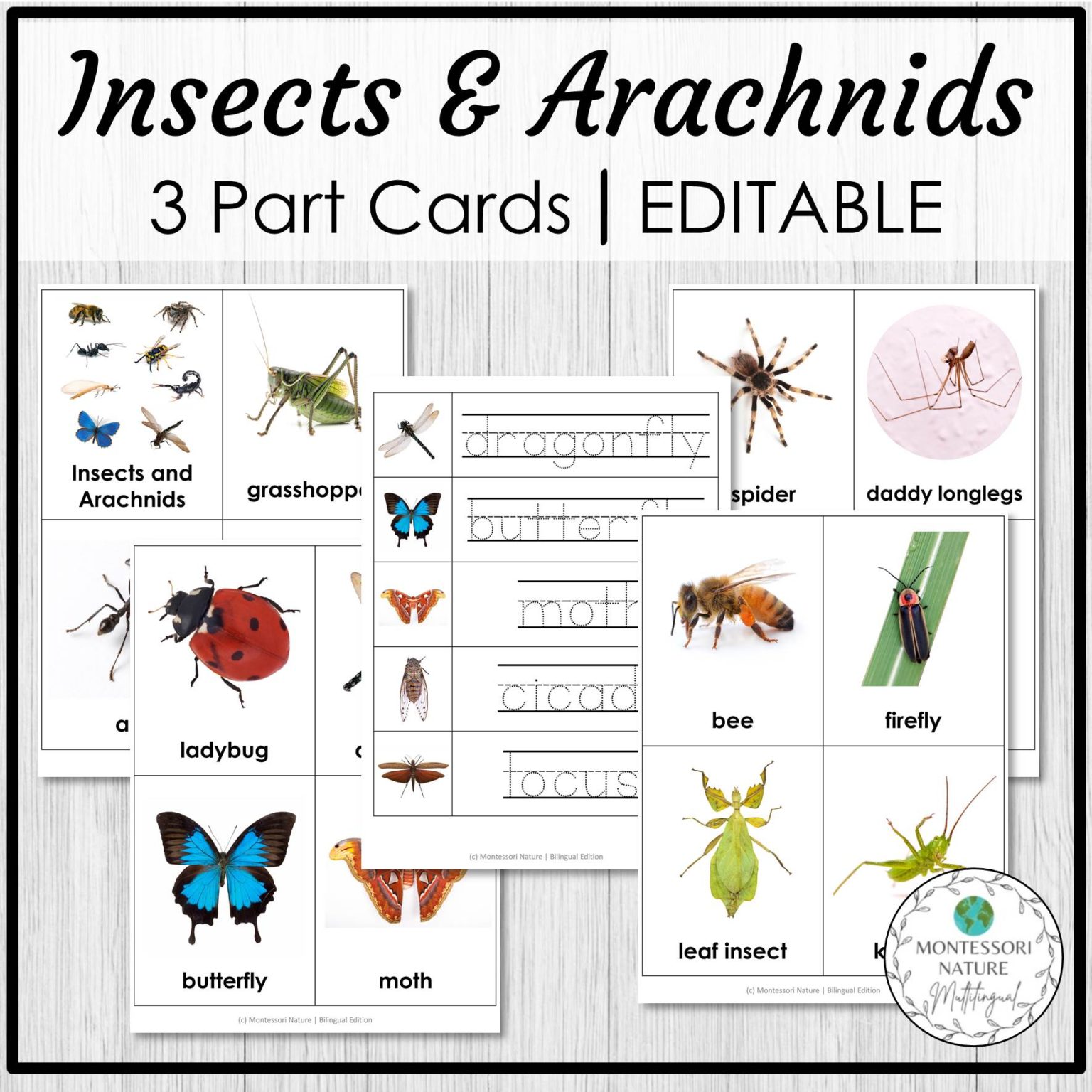 Insects and Arachnids Vocabulary 3 Part Cards - Montessori Nature