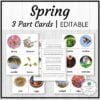Spring Vocabulary 3 Part Cards - Montessori Nature