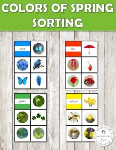 Colors of Spring Sorting Cards Printable