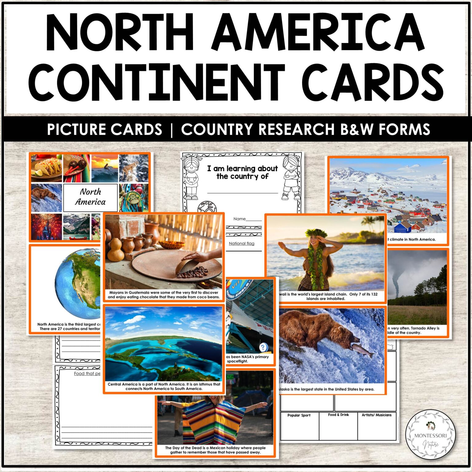 North America Continent Cards - Montessori Nature
