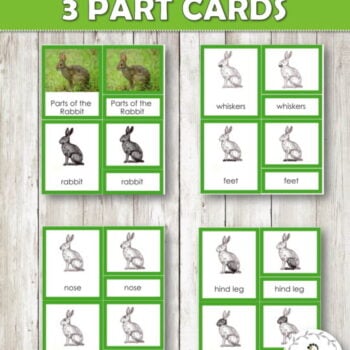 Parts of the Rabbit 3 Part Cards and B&W Booklet Printable