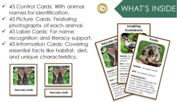 45 Animals of Australia and Oceania Montessori 3 Part Cards ...