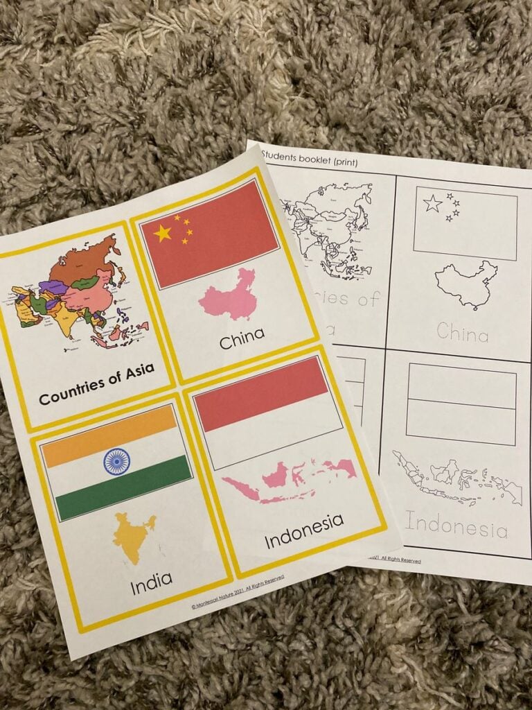 Country Flags of the Continents: Bundle - Montessori Nature