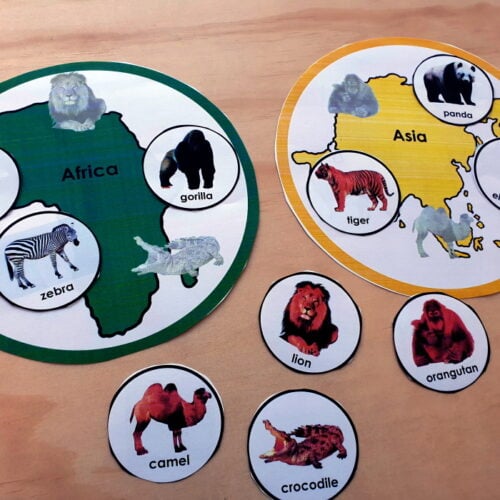 Free Printable - Animals of the Continents Sorting and Matching ...