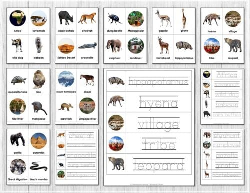 Africa Vocabulary 3 Part Cards - Montessori Nature