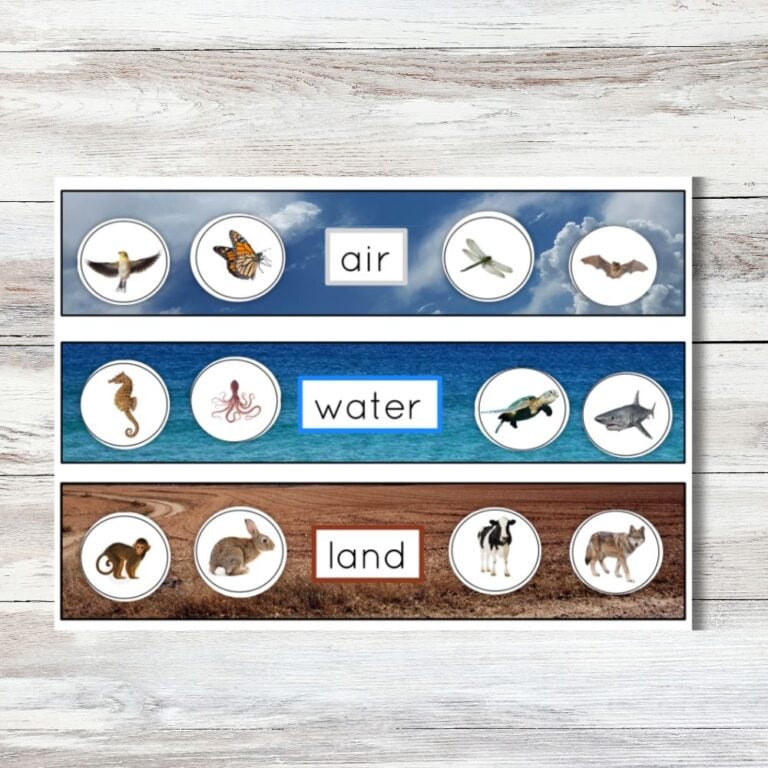 Air Water Land Sort Cut and Paste - Montessori Nature