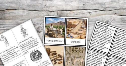 Asia Montessori Inspired Continent Activities - Montessori Nature