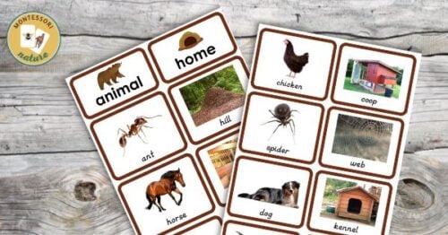Free Printable - Animals and Their Homes - Montessori Nature