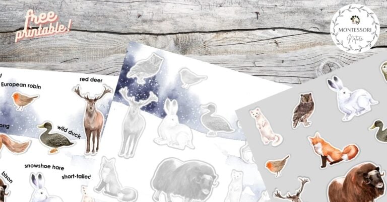 Free Printable - Winter Animals - Montessori Nature