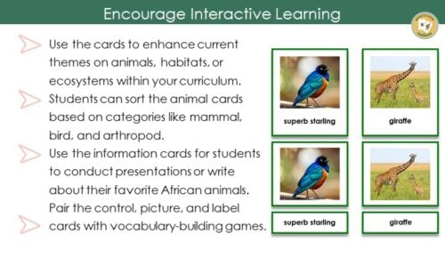 45 Animals Of Africa: 3 Part Cards & Facts - Montessori Nature