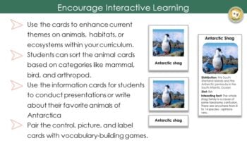 15 Animals of Antarctica: 3 Part Cards & Facts - Montessori Nature