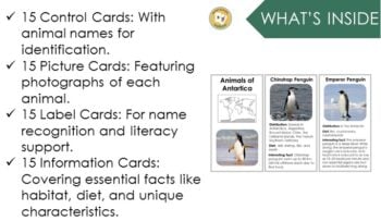 15 Animals of Antarctica: 3 Part Cards & Facts - Montessori Nature