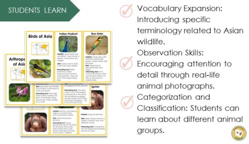 45 Animals Of Asia: 3 Part Cards & Facts - Montessori Nature