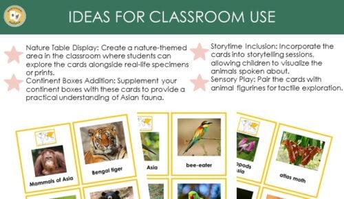 45 Animals Of Asia: 3 Part Cards & Facts - Montessori Nature