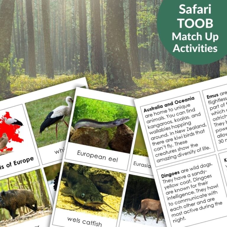 Animals of Europe: Safari TOOB Compatible 3 Part Cards & Facts ...