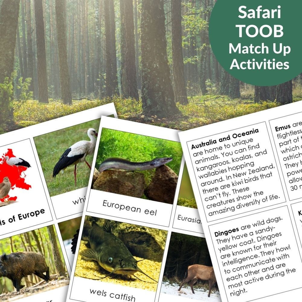 Animals of Europe: Safari TOOB Compatible 3 Part Cards & Facts ...