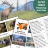 Animals of North America Safari Toob 3 - Part Cards - Editable