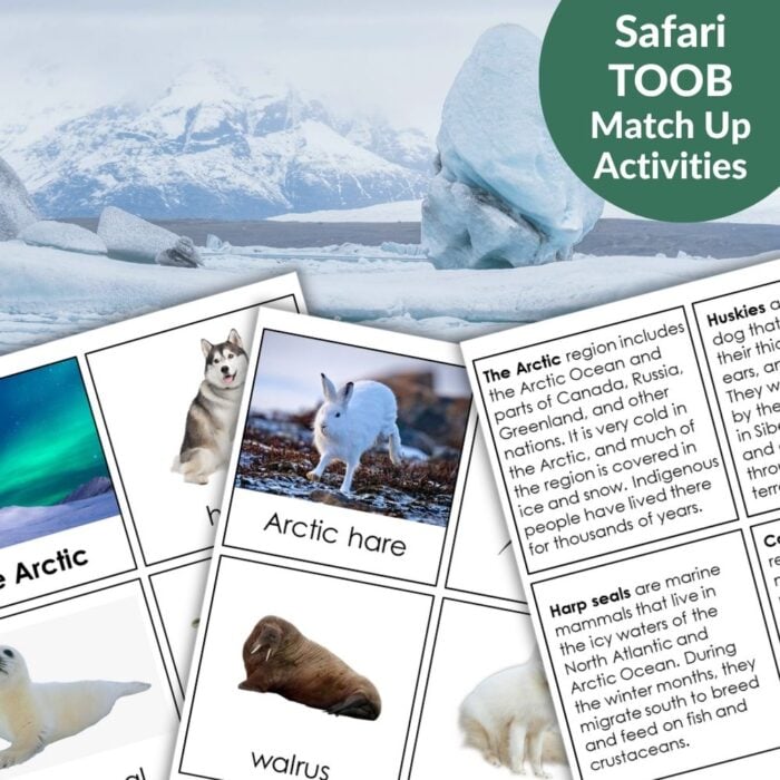 Arctic Animals for Object to Picture Matching Activity with Safari Toob