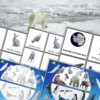Harp Seal Life Cycle and Parts of a Harp Seal Activities - Montessori ...